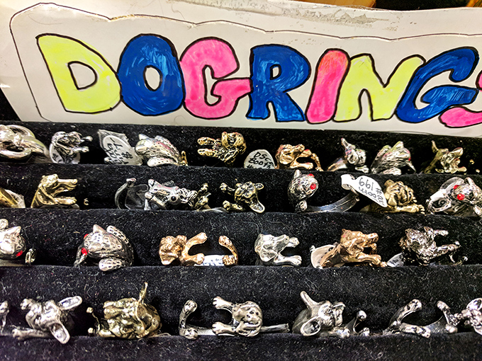 Tiny metal dogs with ruby eyes and silver whiskers &ndash; jewelry that barks back to an era when accessories had personality and playfulness.