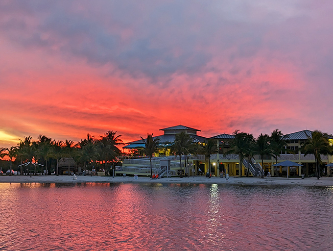 Sunset paints the sky in impossible hues, transforming Homestead Bayfront Park into a watercolor masterpiece that no filter could improve.