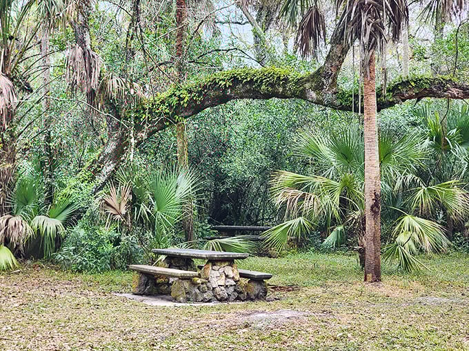 A stone picnic table waits beneath a natural archway of trees &ndash; Mother Nature's dining room with the best ambiance in town.