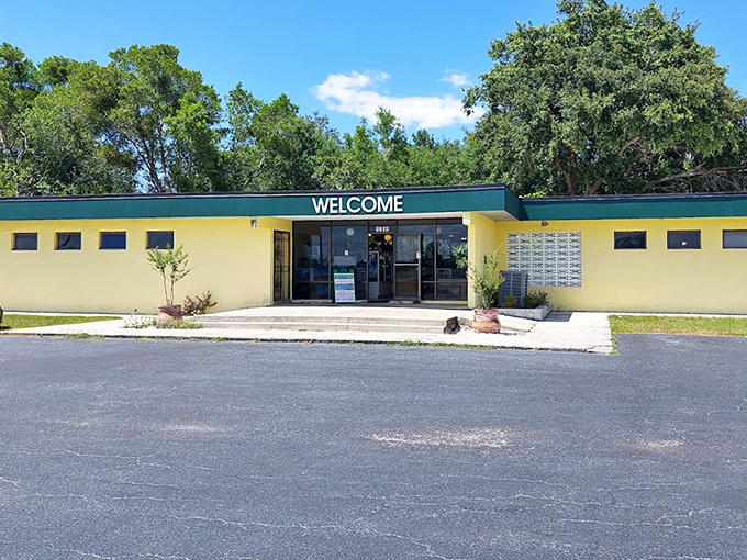 The unassuming yellow building houses some of nature's most impressive predators, proving you should never judge a serpentarium by its cover.