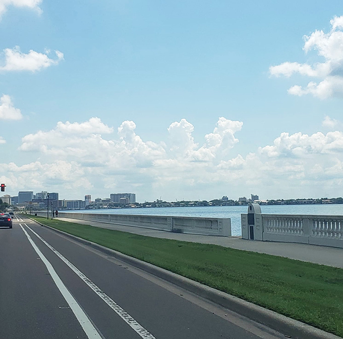 The world's longest continuous sidewalk offers uninterrupted views of Tampa Bay, where urban planning meets natural beauty in perfect harmony.