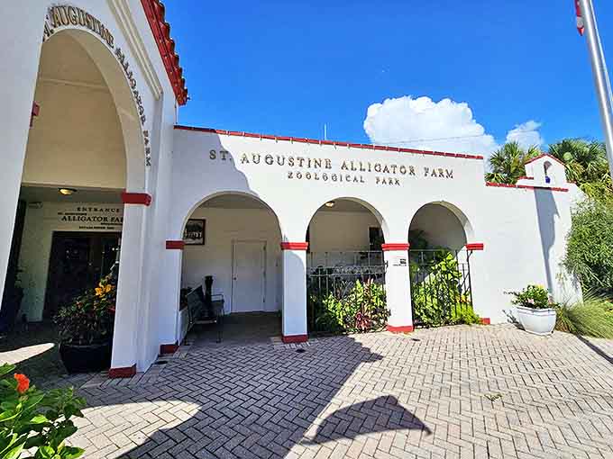 St. Augustine Alligator Farm welcomes visitors with Spanish-style arches &ndash; the toothy residents wait just beyond with prehistoric patience.