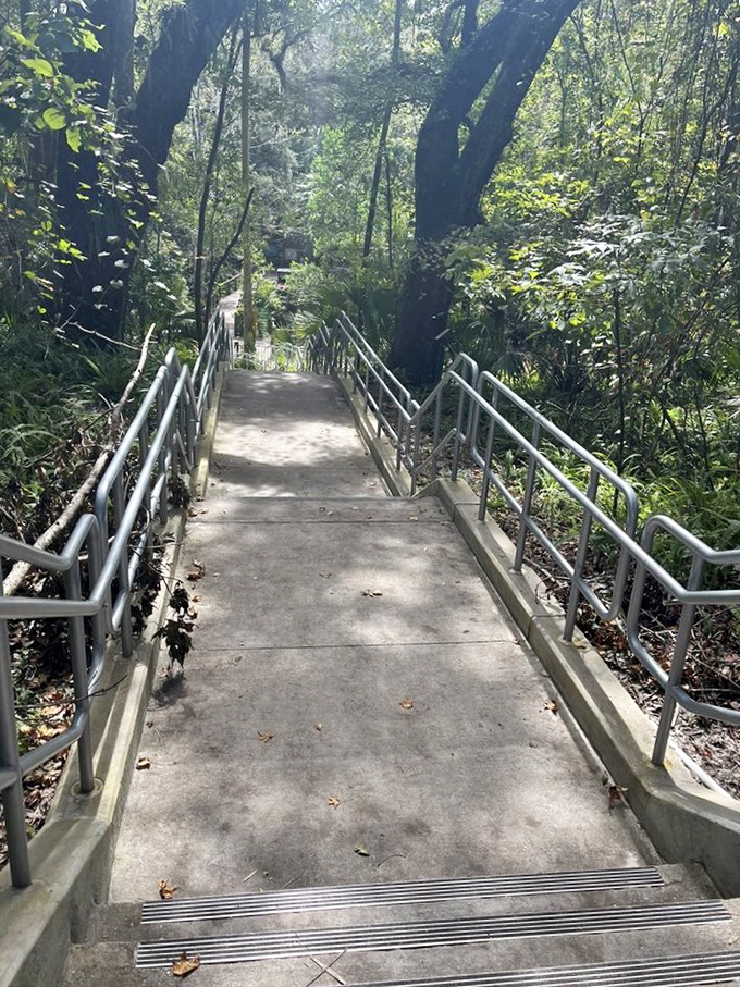 These steps lead visitors down to aquatic adventures. The anticipation builds with each step &ndash; will the water feel colder today? Warmer? Only one way to find out.