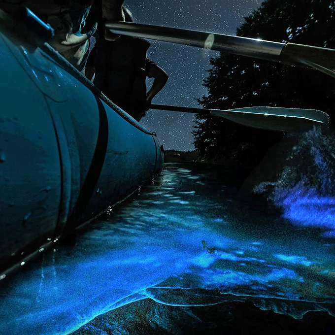 Paddlers create constellations beneath them while real stars twinkle overhead &ndash; a sandwich of light with humans in the middle.