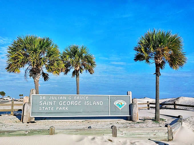 Dr. Julian G. Bruce State Park welcomes nature lovers with its iconic entrance sign, framed by native palms swaying in the Gulf breeze.
