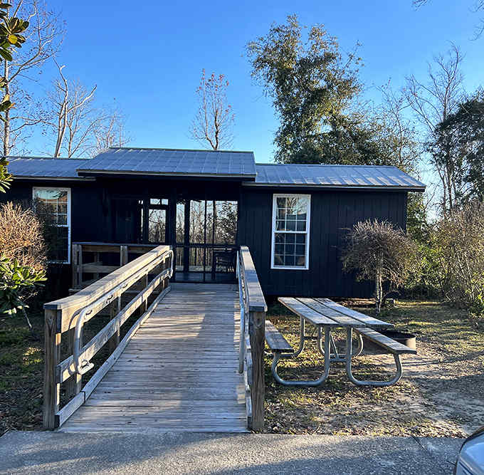 A cozy cabin that whispers, "Yes, you can love nature without sleeping on the ground."