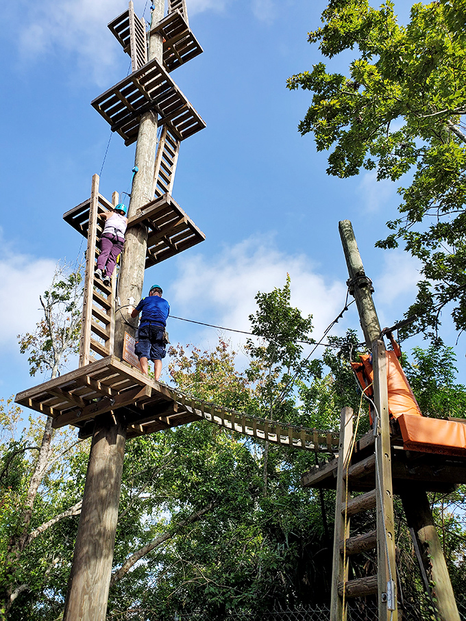 Reaching new heights together – climbers conquer the multi-level platforms, where each wooden perch offers fresh views of the wilderness.