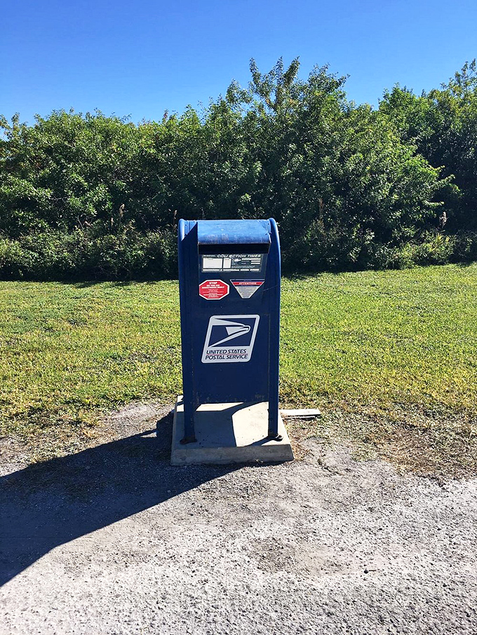 This sturdy blue sentinel stands guard outside, ready to receive letters bound for destinations far beyond the Everglades.