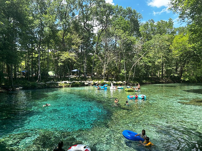 Summer bliss in liquid form &ndash; visitors cool off in the 72-degree spring water, a perfect antidote to Florida's famous heat.