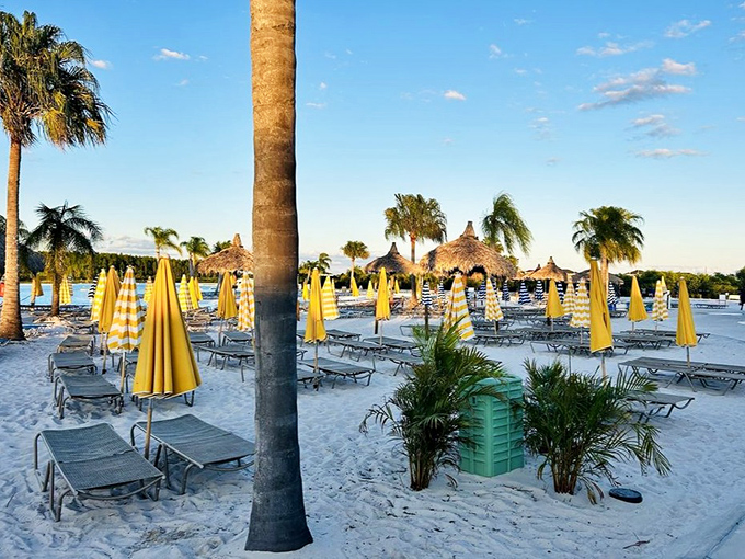 Yellow Umbrellas and Lounge Chairs A beachside setup so perfect it looks like it was arranged by Instagram's most meticulous influencer.