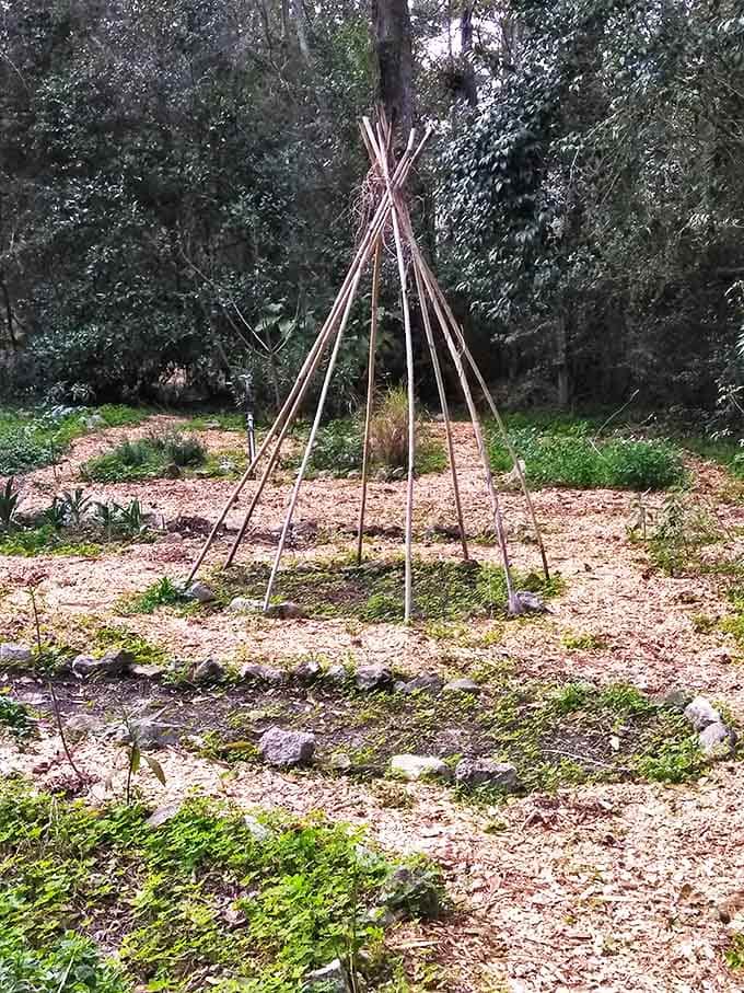 Growing imagination: This simple teepee structure supports climbing plants, creating a living playhouse that changes with the seasons.