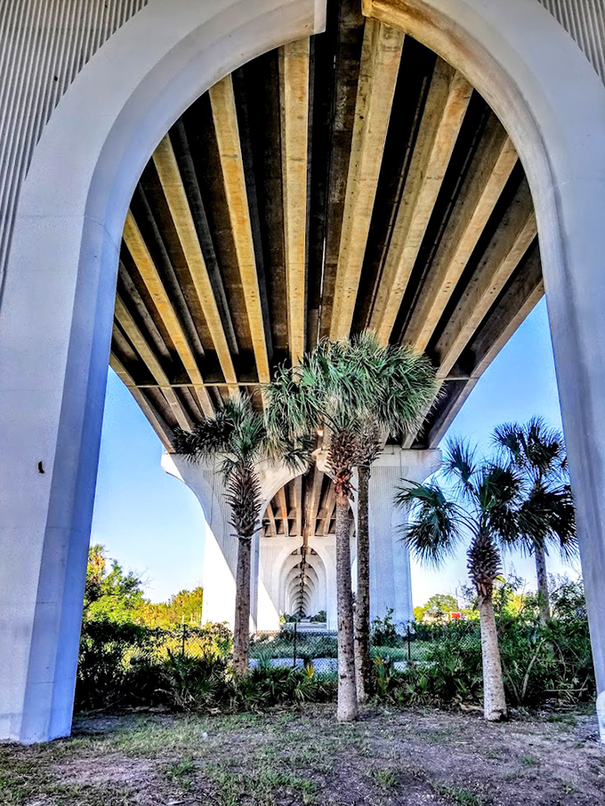 Palm trees stand sentinel beneath the bridge's geometric underbelly &ndash; where human engineering and natural beauty find unexpected harmony.