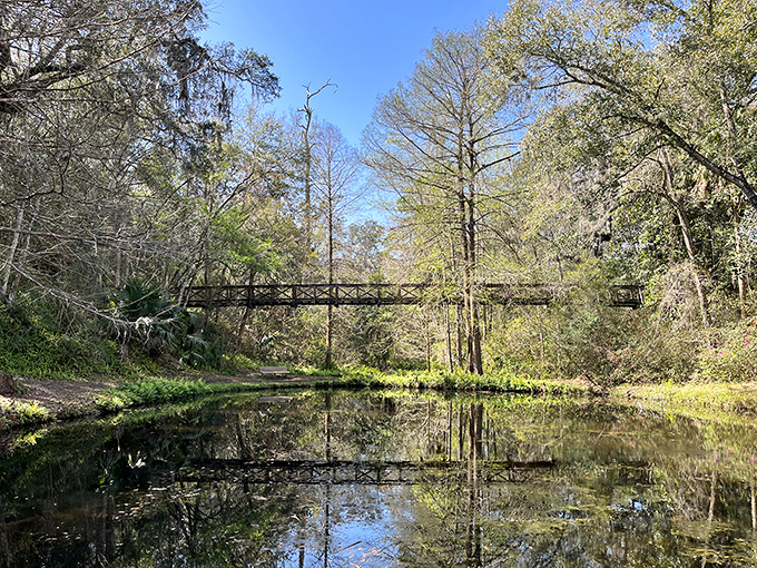 A wooden bridge reflects perfectly in still waters below, creating nature's own Instagram filter that no app could ever replicate.