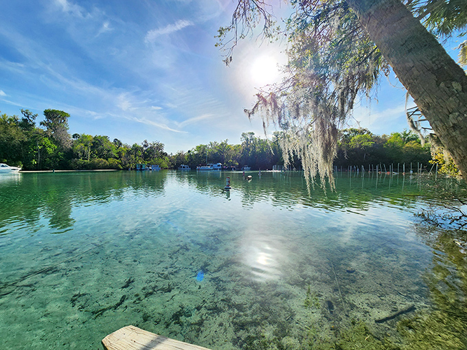 Morning light dances across calm waters, creating the kind of scene that makes amateur photographers look like professionals.