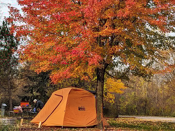 Fall camping at Sleepy Hollow isn't just outdoor lodging &ndash; it's front-row seating to autumn's most spectacular color performance.