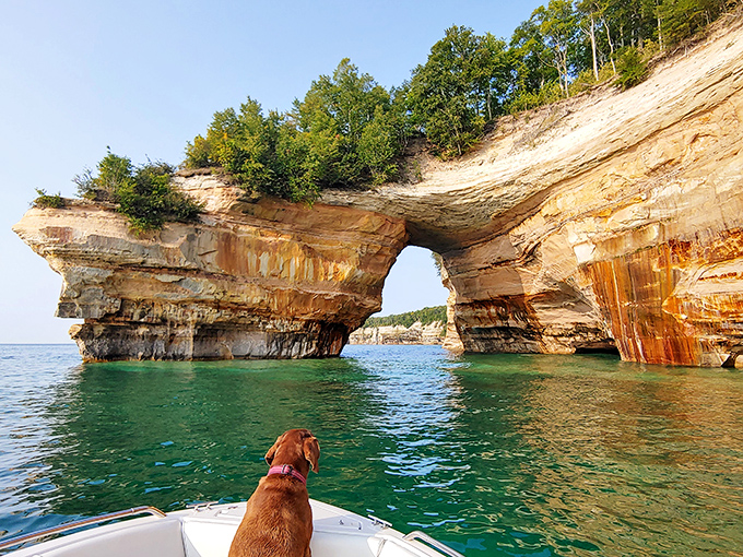 Even dogs appreciate the majesty of Pictured Rocks, this four-legged explorer enjoying the view from a comfortable boat seat.