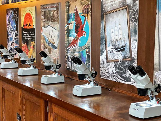 Each microscope reveals a different miniature world, with artistic subjects ranging from celestial constellations to maritime adventures.