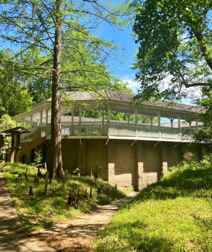 Cypress trees stand sentinel around the historic spring house ruins, nature's patient guardians of forgotten human ambitions.