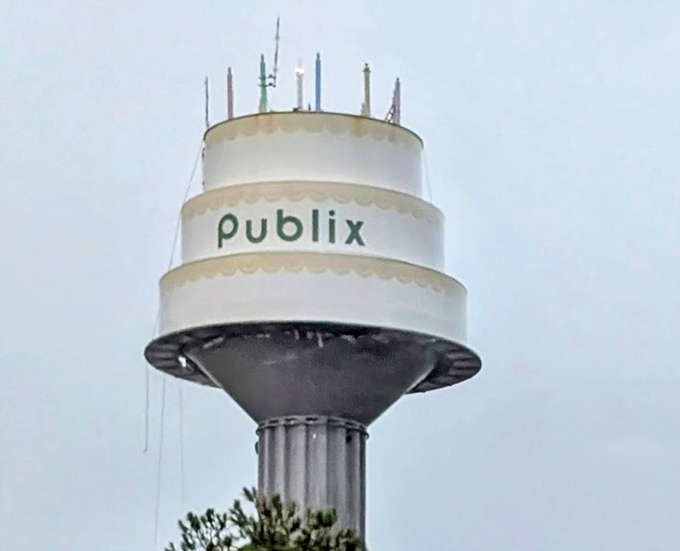 The massive structure dominates the landscape, a sweet sentinel watching over Lakeland with frosted authority and sprinkle-topped charm.