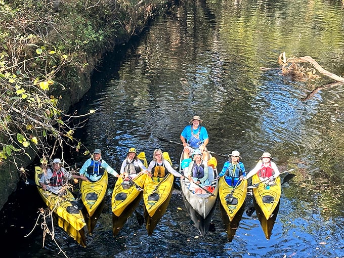 Kayakers gather like colorful water bugs, ready to explore hidden channels where the forest reveals its most intimate secrets.