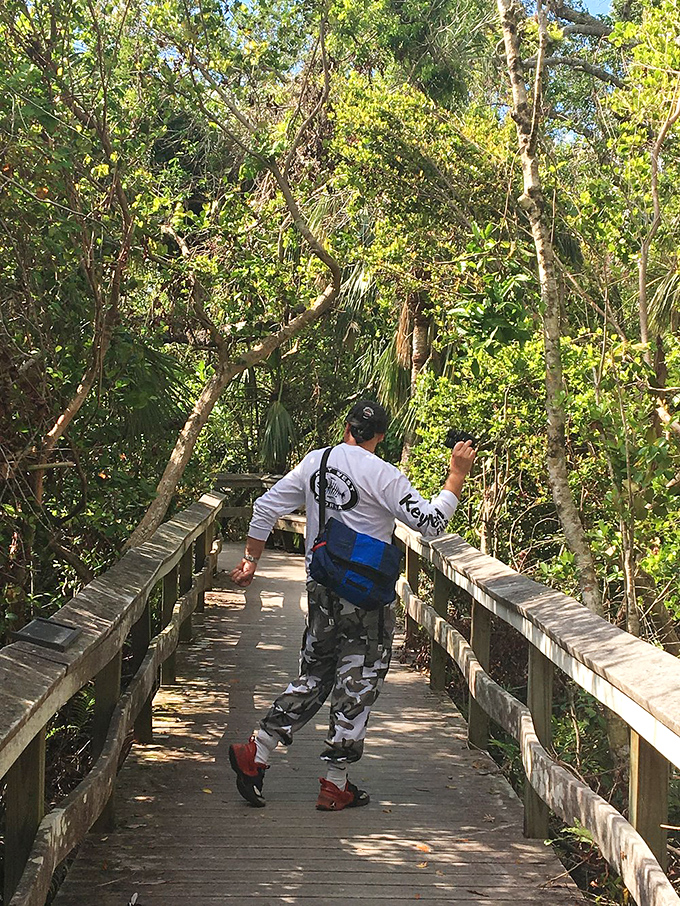 A solitary explorer ventures deeper into the hammock, where each turn of the boardwalk reveals new botanical treasures.