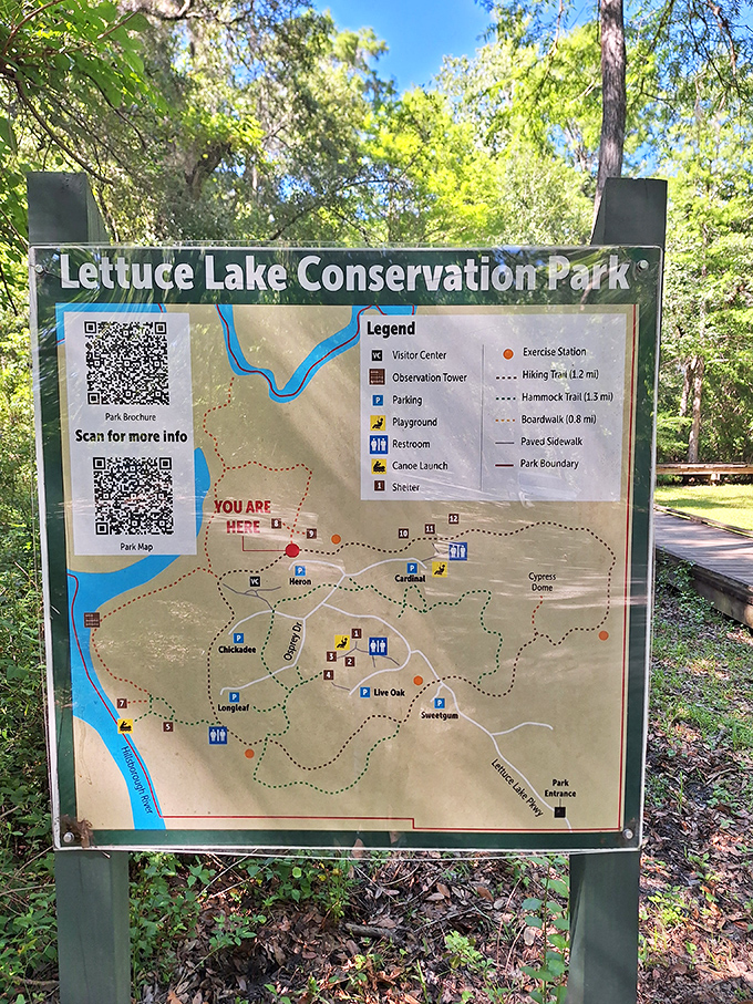 The park's detailed guide reveals a network of trails, boardwalks and observation points waiting to be discovered by curious nature lovers.