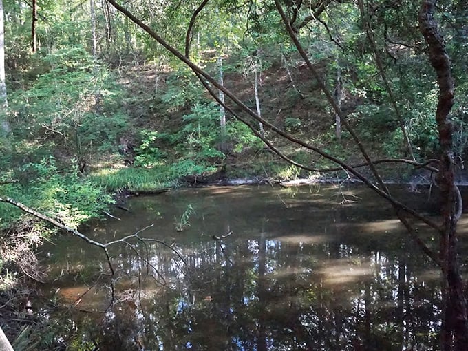 This murky water conceals an entire underground world, connecting to Florida's vast aquifer system.