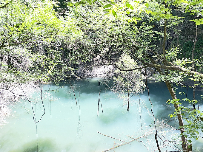 Where time stands still: The ancient sinkhole reveals layers of geological history while creating a peaceful sanctuary that feels worlds away from everyday life.