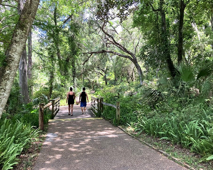 Shaded pathways offer respite from Florida's famous sunshine, while leading adventurers to the next breathtaking vista.