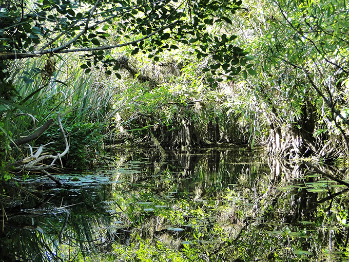 The perfect mirror of sky and trees creates an optical illusion&mdash;paddle carefully or you might accidentally navigate into another dimension.
