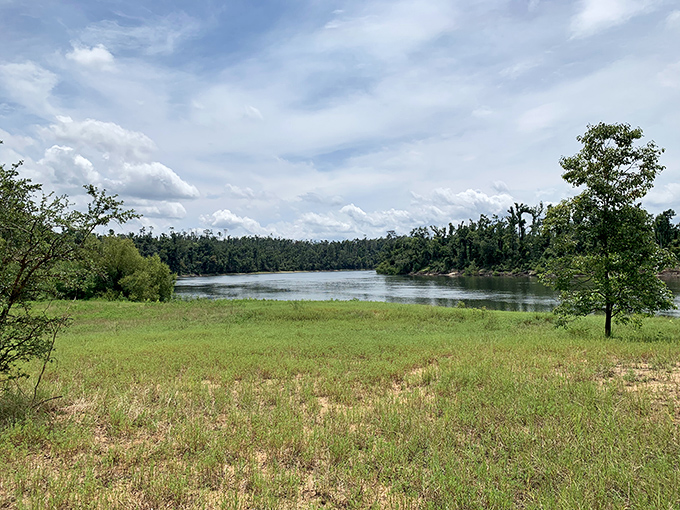 The vast expanse of the river basin stretches to the horizon, a reminder of wild Florida that exists beyond the theme parks and beaches.