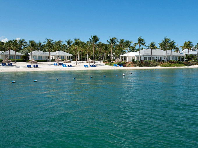 This scenic view captures nature's perfect composition&mdash;turquoise waters embracing white sands while palm trees provide nature's own shade service.