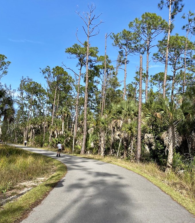 The paved trail curves through towering pines and palms, offering a smooth journey that even grandma's knees will appreciate.