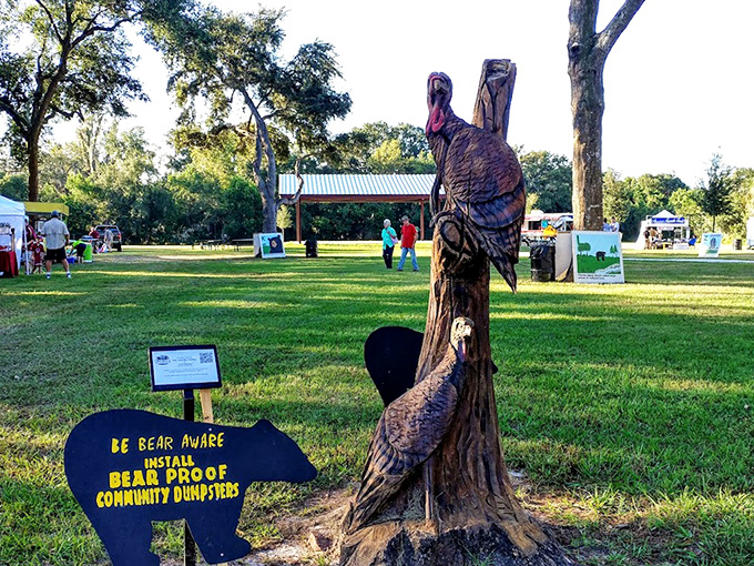 Modern skateboarding meets rustic charm at Cadwell Park, where concrete ramps provide thrills for the more adventurous visitors.