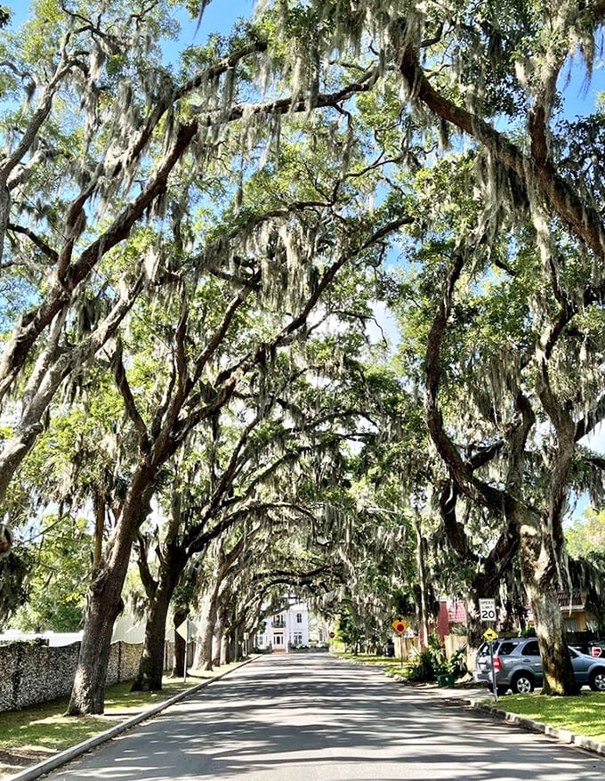 On a sunny day, the contrast between bright blue sky and deep green canopy creates a visual symphony that makes even the most jaded travelers slow down in wonder.