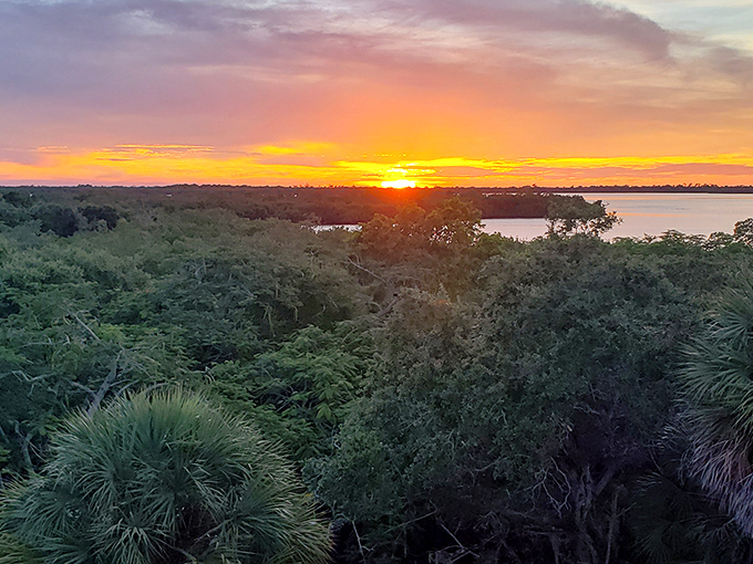 As day surrenders to evening, Cabbage Key offers front-row seats to nature's most spectacular light show, no tickets or reservations required.