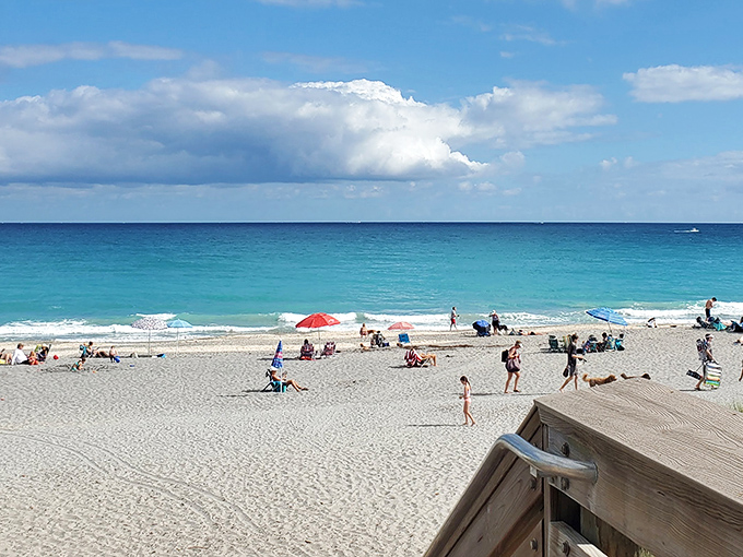 Beach visitors create a colorful tapestry against the sand, with dogs serving as the social directors of this outdoor party.