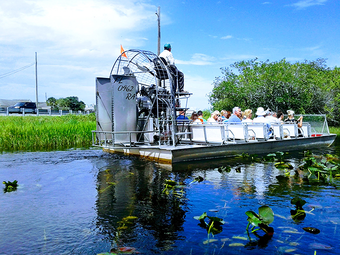 An airboat skims across the water's surface, offering thrills that would make even the most jaded teenager put down their phone.