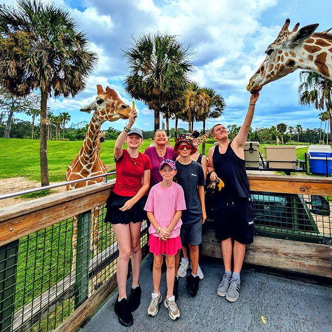 Feeding giraffes creates the perfect family photo opportunity&mdash;and the rare moment when teenagers willingly participate without eye-rolling.