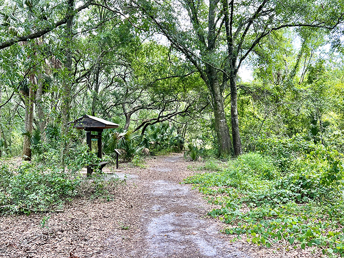 The preserve's walking trail invites visitors to explore at their own pace &ndash; no fast passes, timed entries, or crowd control necessary.