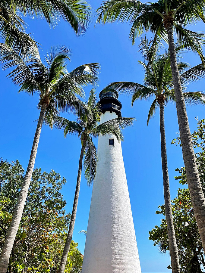 Bill Baggs Cape Florida lighthouse stands tall and proud, its classic white tower rising above the treeline on Key Biscayne's southern tip.
