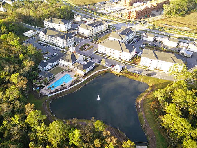 From above, Celebration's thoughtful planning reveals itself &ndash; a community nestled among trees rather than bulldozing through them.