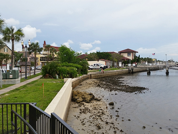 The seawall walkway serves as St. Augustine's front porch, where locals and visitors alike gather to watch boats, birds, and the occasional dolphin showing off.
