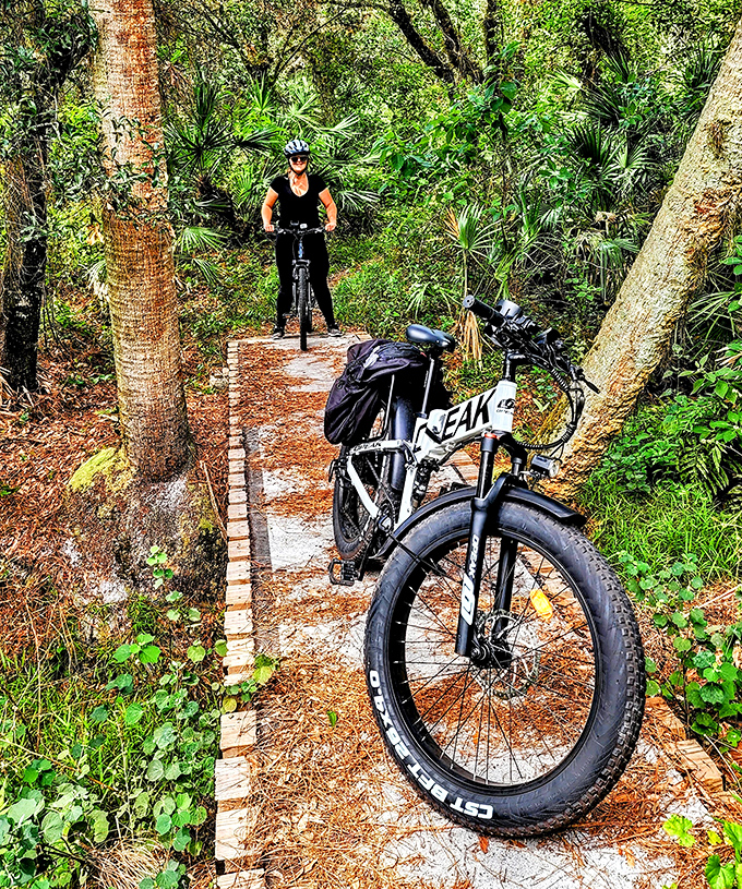Biking through paradise: where "off the beaten path" meets "I can still get cell service if absolutely necessary."