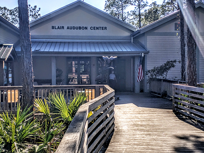 The Blair Audubon Center welcomes visitors with rustic charm, a gateway to wilderness that feels worlds away from tourist Florida.
