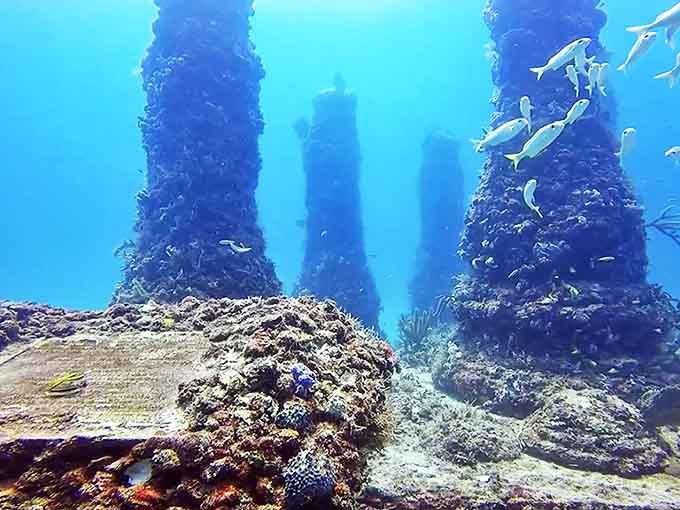 A simple memorial marker rests on the ocean floor, gradually being reclaimed by the sea it was designed to become part of.
