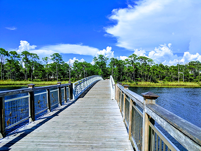 This wooden boardwalk stretches like an invitation across coastal wetlands, promising adventure with every plank.