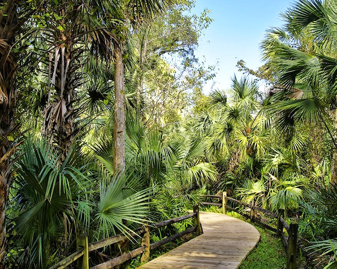 This winding wooden path through paradise makes even the most dedicated couch potato want to explore.