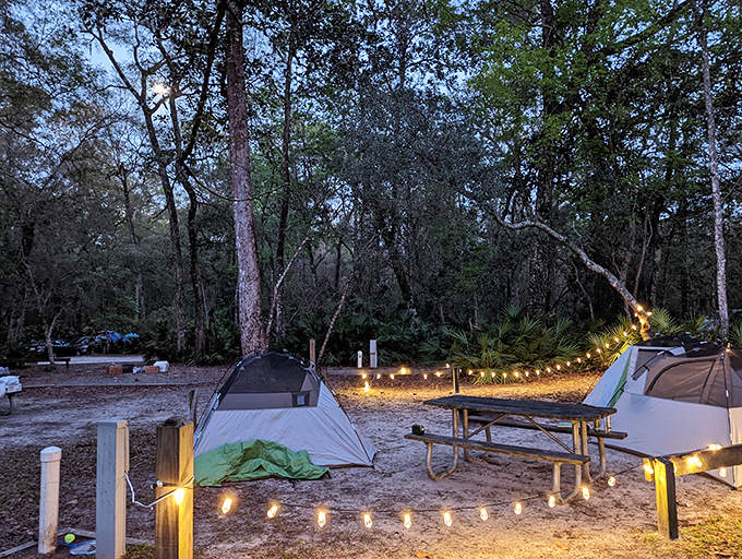 String lights transform this campsite into a magical woodland retreat&mdash;where stargazing and storytelling cap perfect spring days.