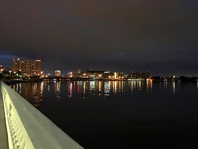 As darkness falls, Bayshore transforms into a twinkling light show, with Tampa's skyline creating a man-made constellation across the water.